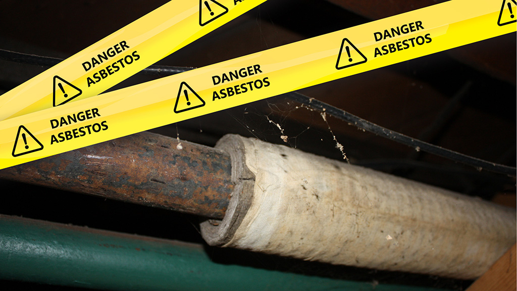 B.C. construction industry celebrates the first eight asbestos workers ...